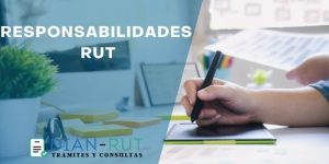 Nuevos Códigos de responsabilidades en el RUT 2022